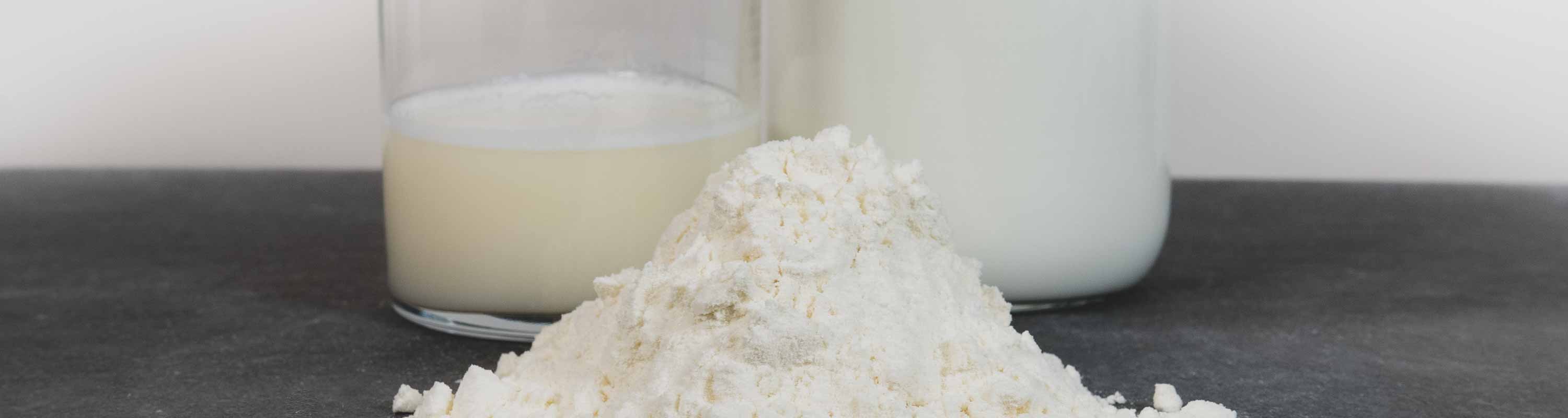 Everything you need to know about protein absorption rates – Nutrimuscle