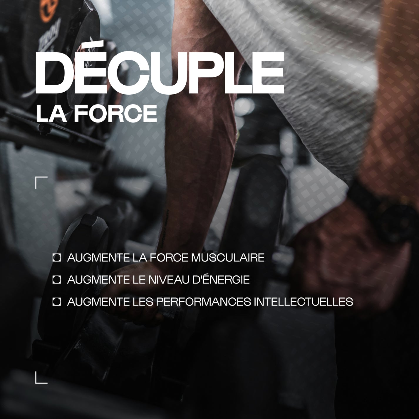 Creatine (Creapure®) powder – Nutrimuscle